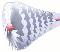 Moteur GIFs - Get the best gif on GIFER