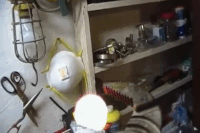 Nickel GIFs - Get the best gif on GIFER