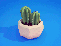 Cactus GIFs - Get the best gif on GIFER