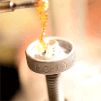 Dabbing GIFs - Get the best gif on GIFER