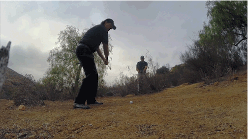 Lefty GIF - Conseguir el mejor gif en GIFER