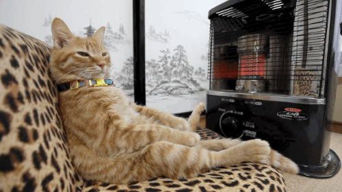 Heater GIFs - Get the best gif on GIFER