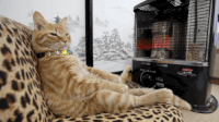 Heater GIFs - Get the best gif on GIFER