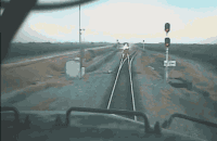 Stakes GIFs - Get the best gif on GIFER