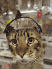 Groove GIF - Conseguir o melhor gif em GIFER