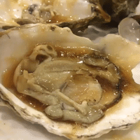 Oysters гифки, анимированные GIF изображения oysters - скачать гиф ...