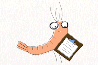 Shrimp GIFs - Get the best gif on GIFER