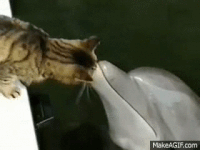Biologist GIFs - Get the best gif on GIFER