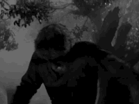 Wolfman GIFs - Get the best gif on GIFER
