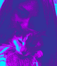 Folds GIFs - Get the best gif on GIFER