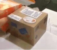 Catsbox GIFs - Get the best gif on GIFER