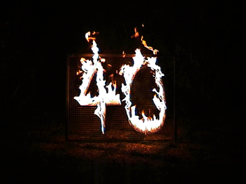 40 GIFs - Get the best gif on GIFER