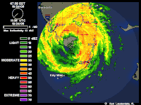 Hurricanes GIFs - Get the best gif on GIFER