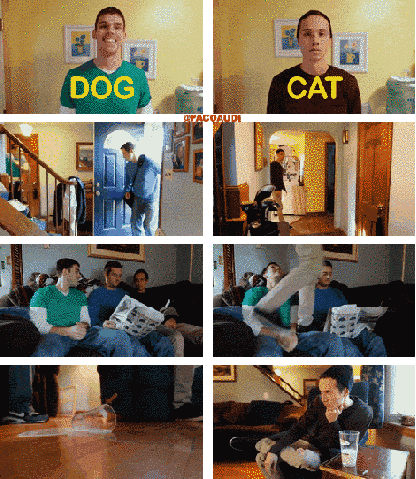 Animal differences GIF - Conseguir o melhor gif em GIFER