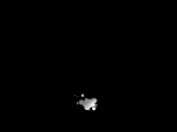 Brocoli GIFs - Get the best gif on GIFER