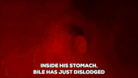 Intestines GIFs - Get the best gif on GIFER