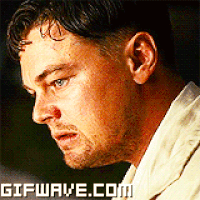 Shutters GIFs - Get the best gif on GIFER