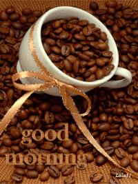 Kaffee GIFs - Hole dir die besten GIFs auf GIFER