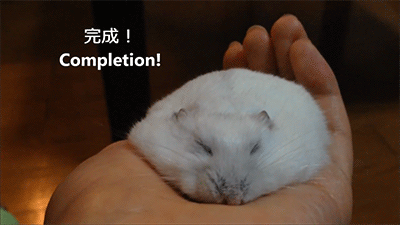 Hamster sleeping GIF - Conseguir o melhor gif em GIFER