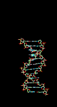 Biologie GIFs - Get the best gif on GIFER