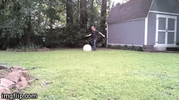 Puttputt GIFs - Get the best gif on GIFER