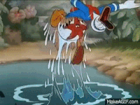 Starfish GIFs - Get the best gif on GIFER