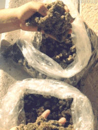 Kush GIFs - Get the best gif on GIFER