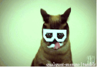 Skifcha GIFs - Get the best gif on GIFER