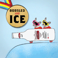 Bobsled GIFs - Get the best gif on GIFER