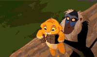 Simba GIFs - Get the best gif on GIFER