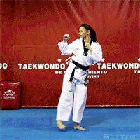 Taekwondo GIFs - Get the best gif on GIFER