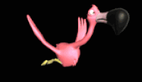 Flamingo GIFs - Get the best gif on GIFER