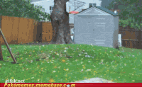 Diglett GIFs - Get the best gif on GIFER