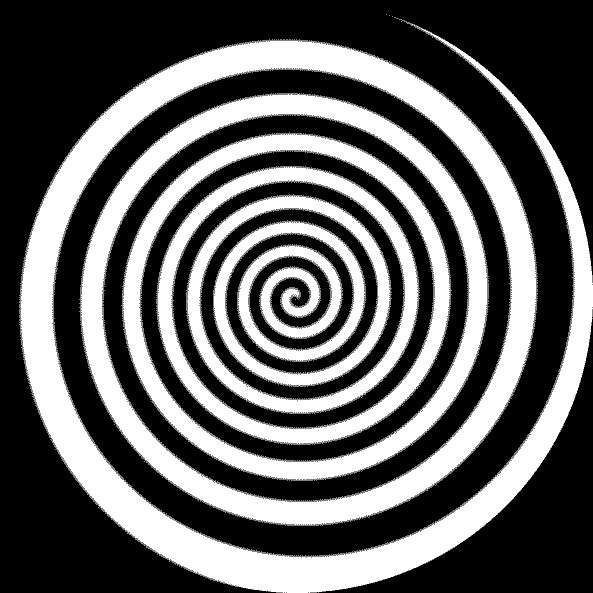 Phyllotactic spirals GIFs - Get the best gif on GIFER