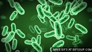 Bacteria GIFs - Get the best gif on GIFER