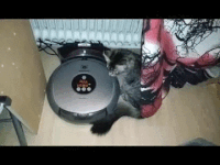 Cleaner GIFs - Get the best gif on GIFER