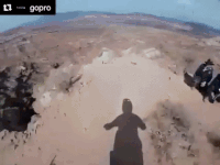 Redbull GIFs - Get the best gif on GIFER