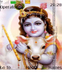 Bal GIFs - Get the best gif on GIFER