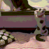 Mesmerized GIFs - Get the best gif on GIFER