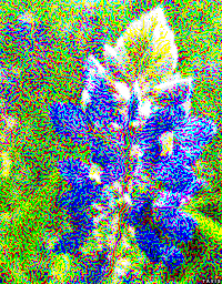 Deepdream GIFs - Get the best gif on GIFER