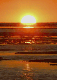 Relax GIFs - Get the best gif on GIFER