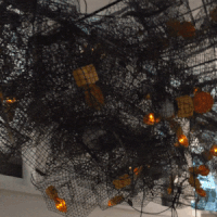 Bayou GIFs - Get the best gif on GIFER