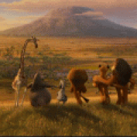 Madagascar GIFs - Get the best gif on GIFER