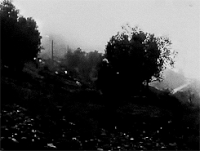 Instantly GIFs - Get the best gif on GIFER