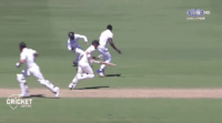Cricket GIFs - Get the best gif on GIFER