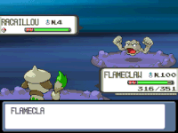 Adaptation GIFs - Get the best gif on GIFER