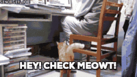Needy GIFs - Get the best gif on GIFER