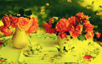 Carola GIFs - Get the best gif on GIFER