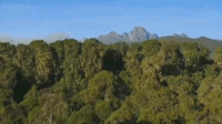 Africas GIFs - Get the best gif on GIFER