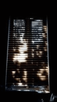 Design blog GIFs - Get the best gif on GIFER